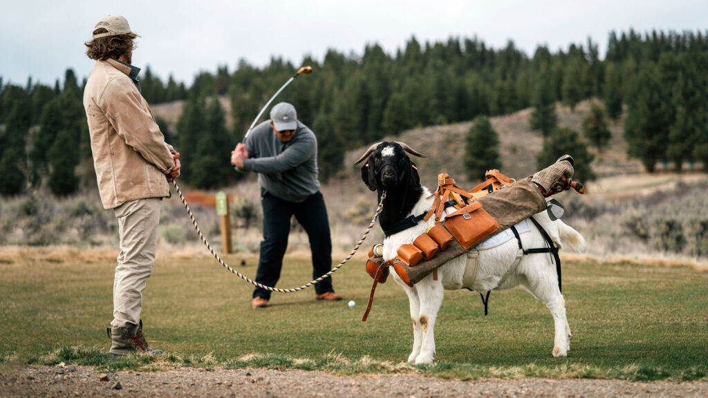 Silvies Valley Ranch, A Western Treat Of A Retreat