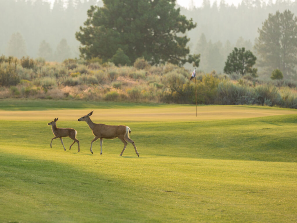 Silvies Valley Ranch, A Western Treat Of A Retreat
